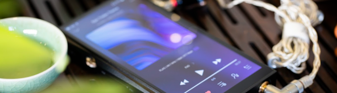 Digital Audio Players - Portable High-Quality Sound – Simcoe Audio Video
